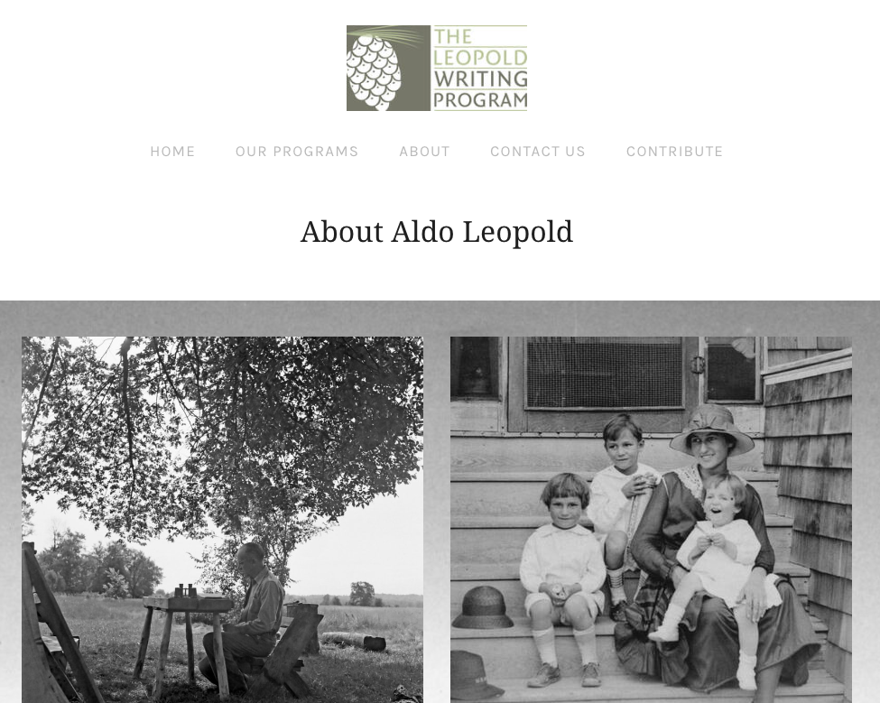 Giles Portfolio | Web Dev | SEO | Digital Marketing